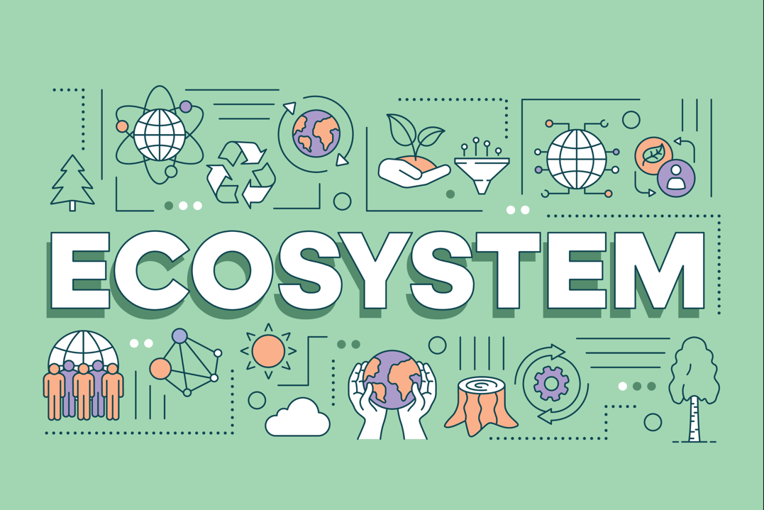 John Mitchell, CEO of Episode Six, Explores New Ecosystems in Paytech ...